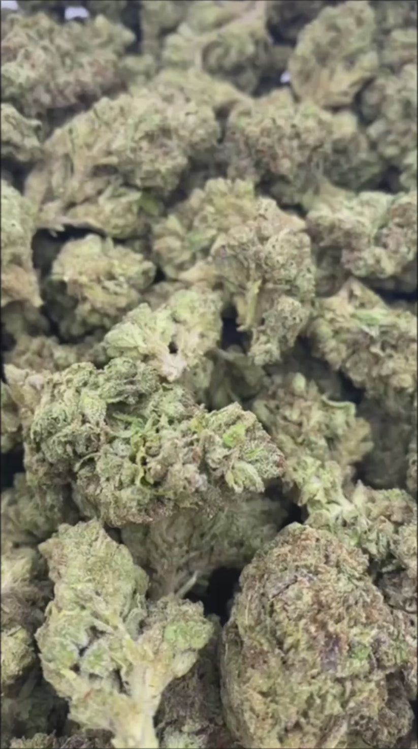 GMO X ICC Budget Flower 26.2% THC