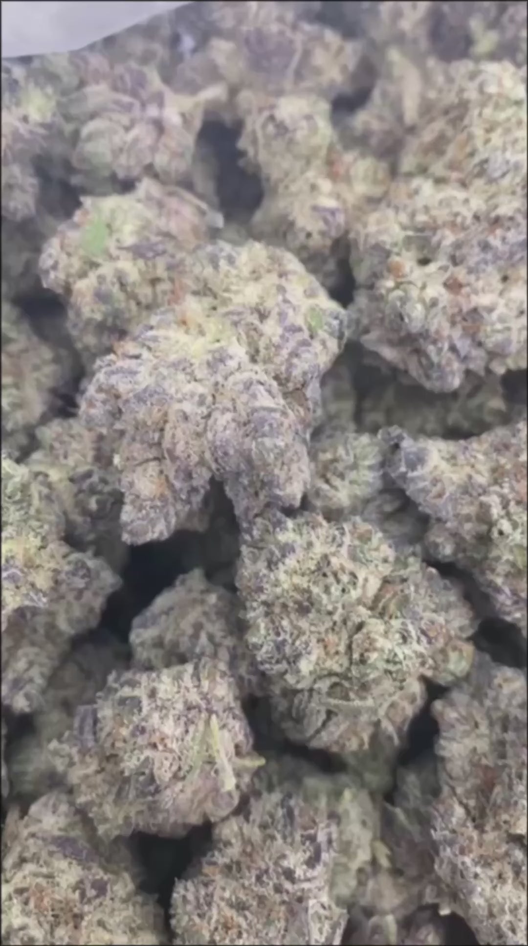 Exotic Mule Fuel Indoor 27.1% THC